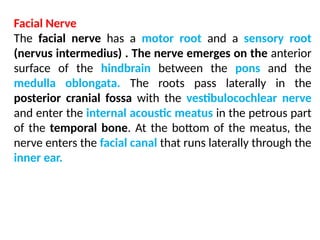 Anatomy of Cranial Nerves Lecture 10.pptx
