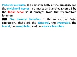 Anatomy of Cranial Nerves Lecture 10.pptx