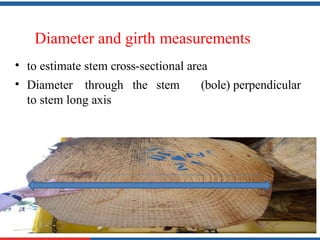 lecture 10.pptx FOREST MESURATION AND ROLE | PPTX