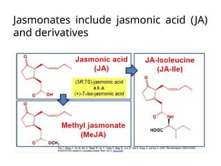 Lecture 10 jasmonic acid signalling regulation | PPTX