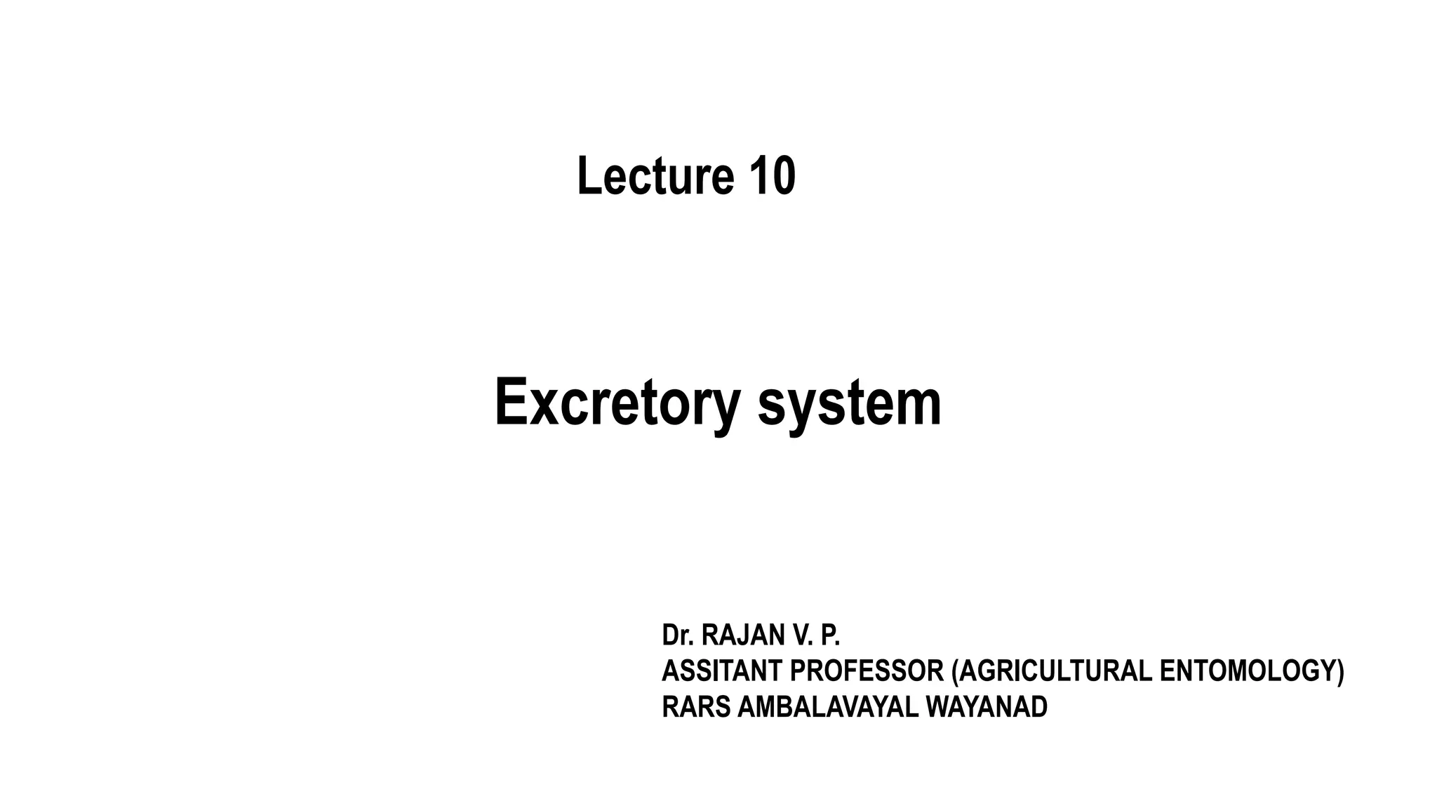 Excretory system of insects and their details | PPTX