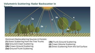 Synthetic Aperture Radar (SAR): Principles and Data Types in Remote ...