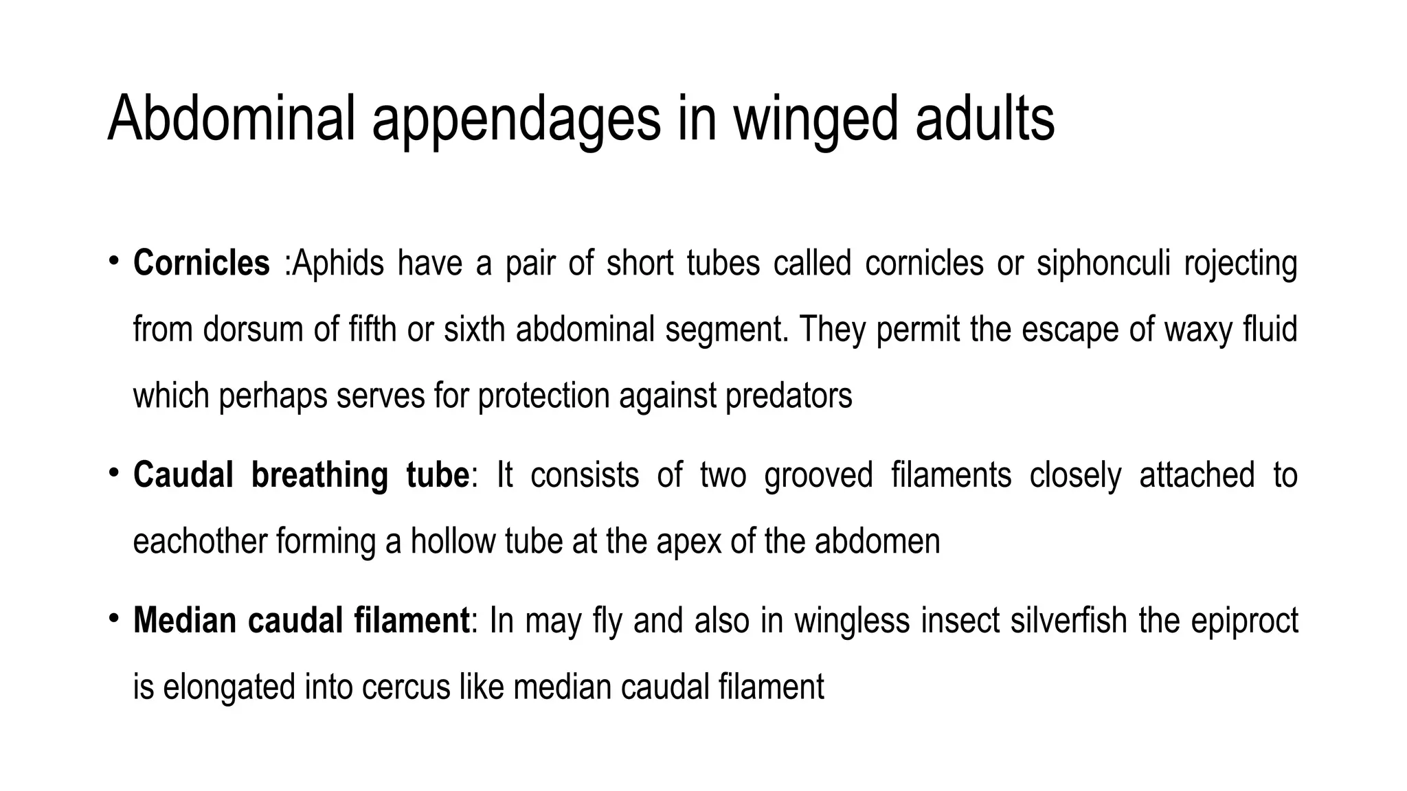 Abdomen- structure and appendages including external genitalia | PPTX