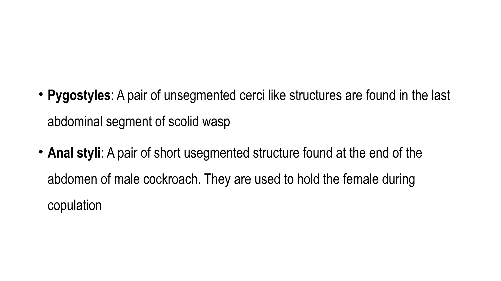 Abdomen- structure and appendages including external genitalia | PPTX