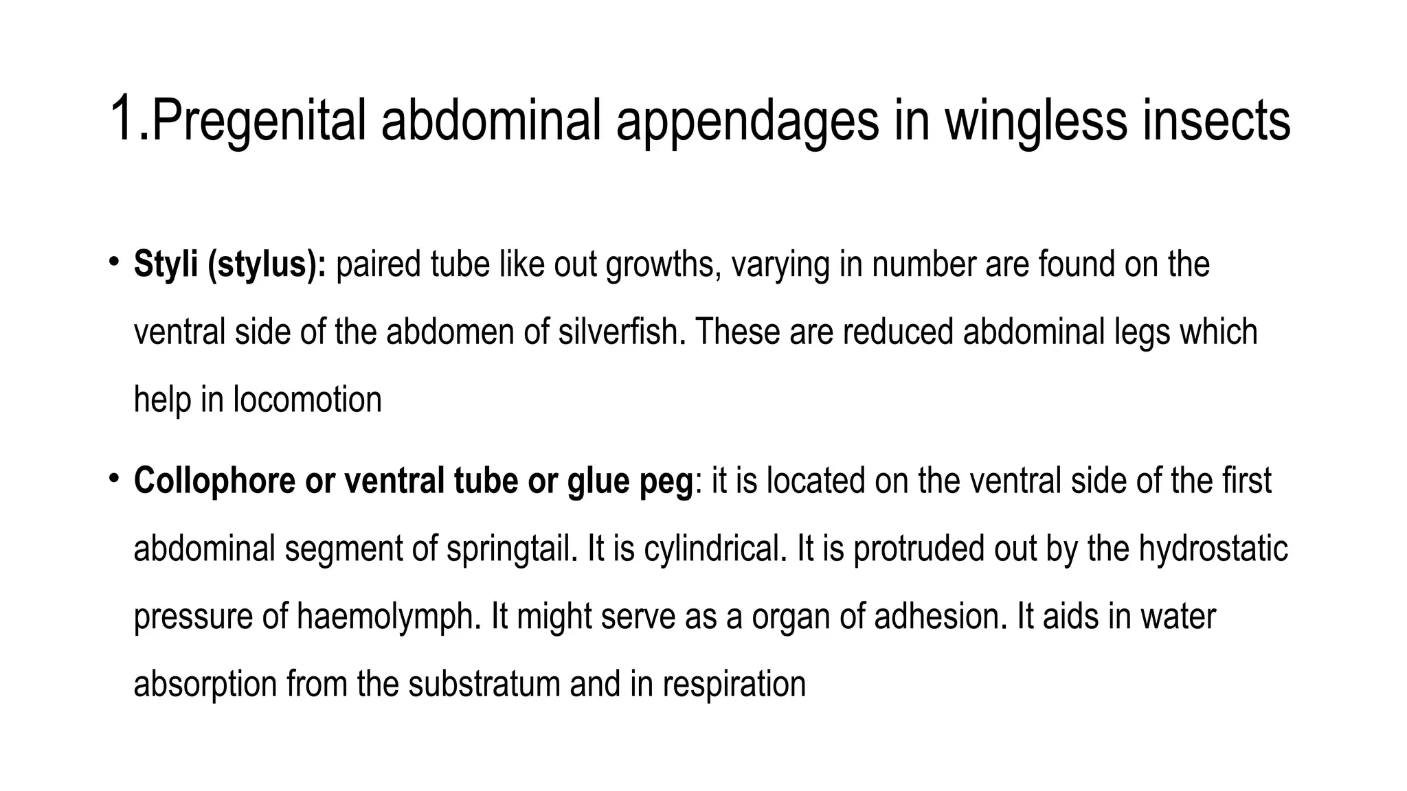 Abdomen- structure and appendages including external genitalia | PPTX