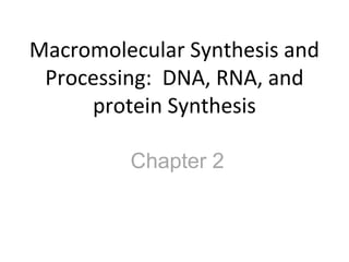 DNA-RNA-Protein in microbes | PPT