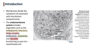 Lecture 10 - Endoplasmic Reticulum for biology major study | PDF