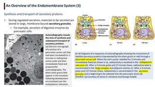 Lecture 10 - Endoplasmic Reticulum for biology major study | PDF