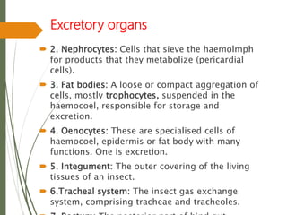 Inscet excretory system | PPTX