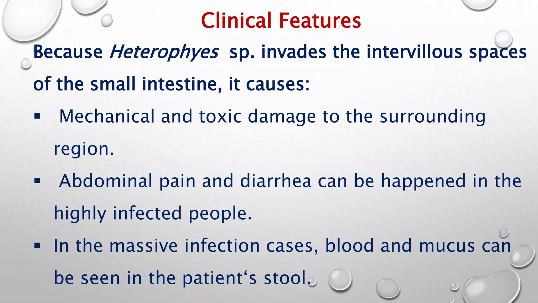 lecture10-Heterophyiasis (1).pptx