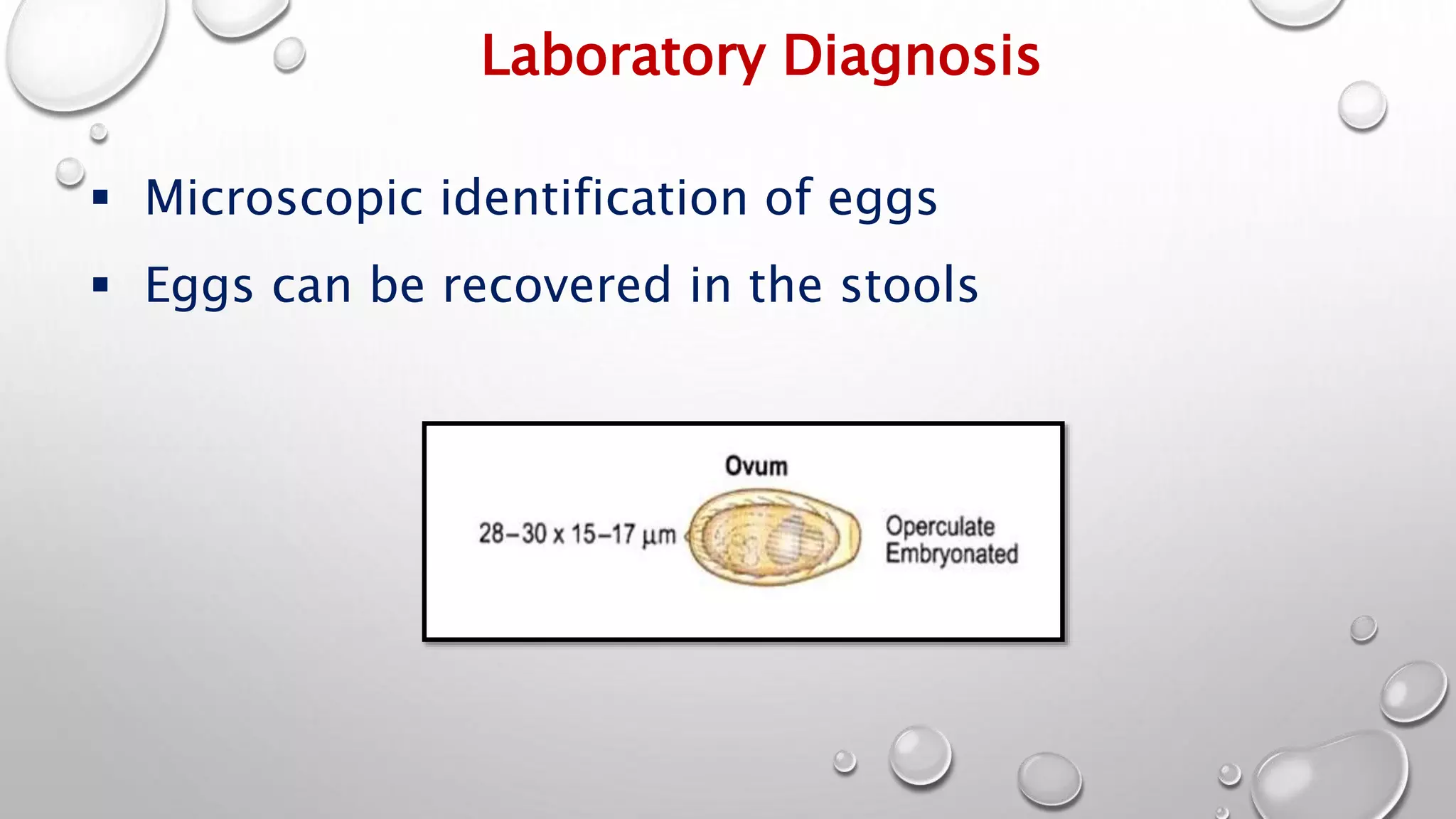 lecture10-Heterophyiasis (1).pptx