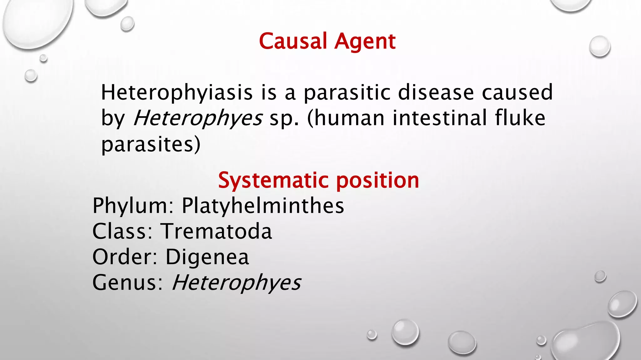 lecture10-Heterophyiasis (1).pptx