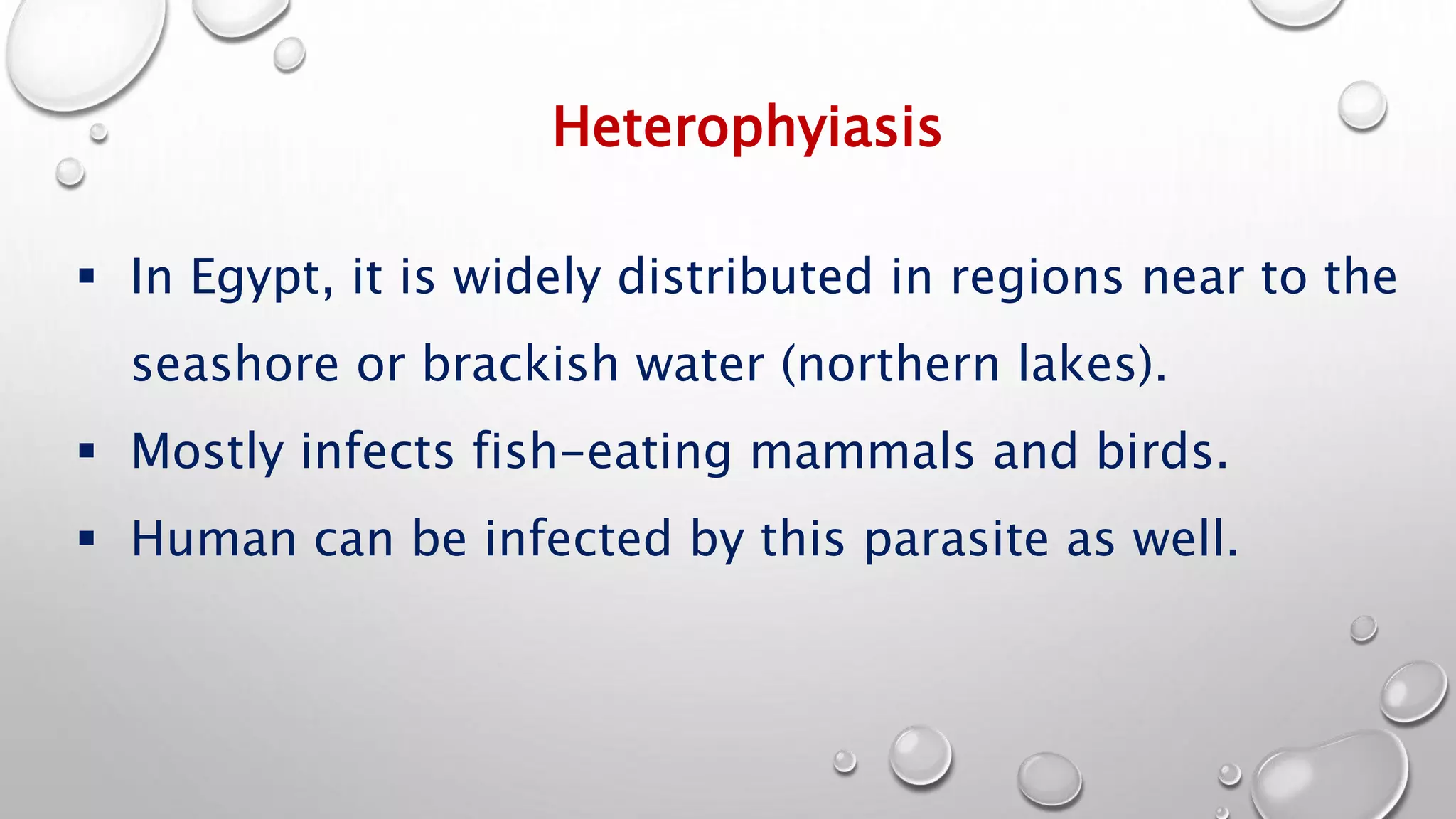 lecture10-Heterophyiasis (1).pptx