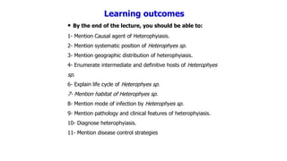 lecture10-Heterophyiasis (1).pptx