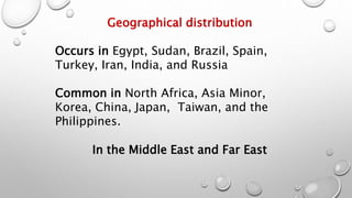 lecture10-Heterophyiasis (1).pptx