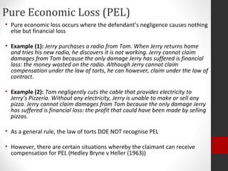 Lecture 10 law of tort | PPT