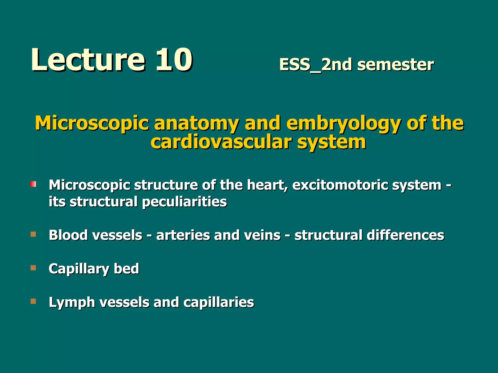 Lecture10 microscopic anatomy and embryology of the cardiovascular ...