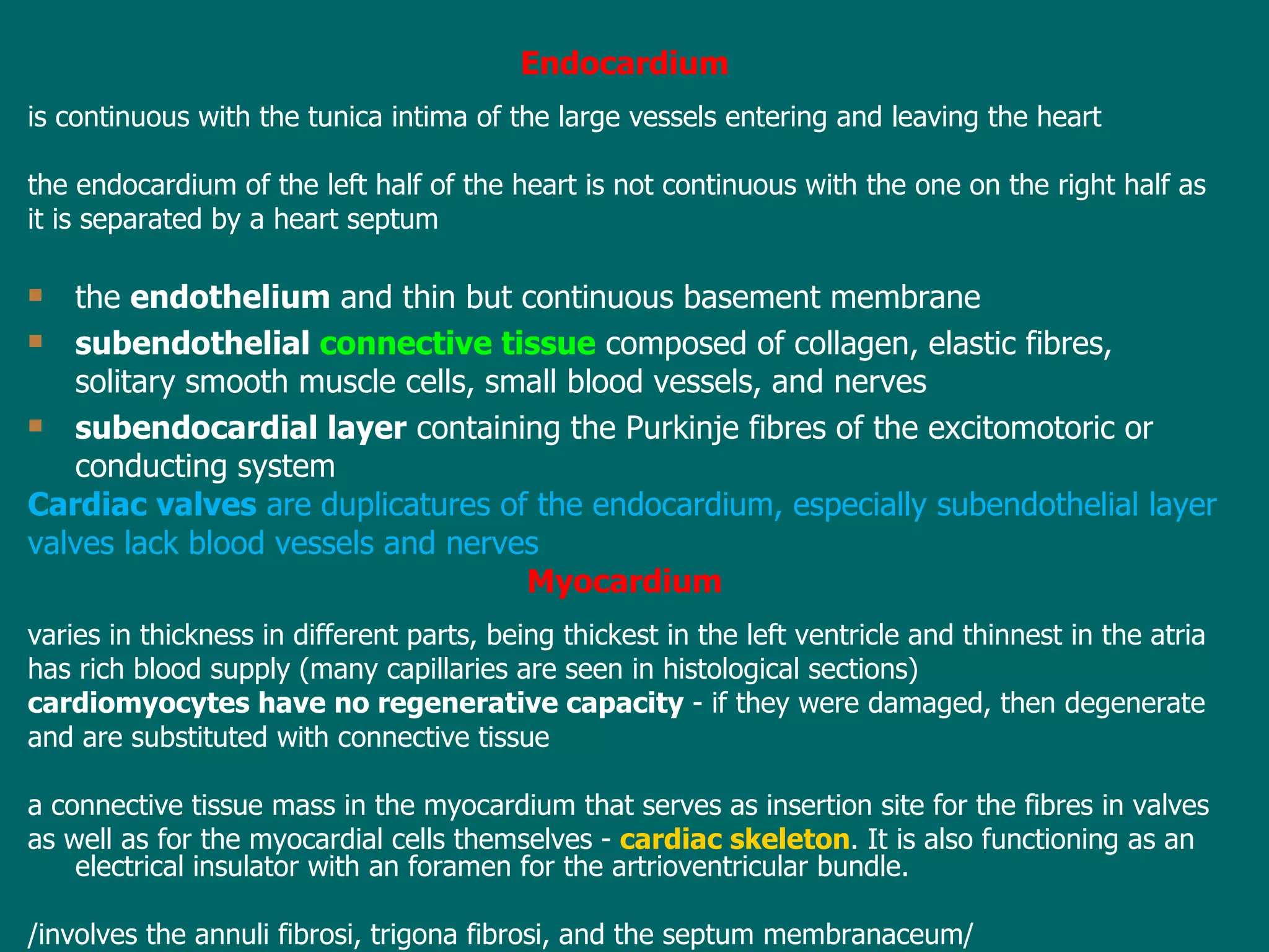 Lecture10 microscopic anatomy and embryology of the cardiovascular ...