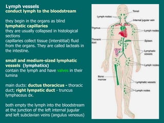 Lecture10 microscopic anatomy and embryology of the cardiovascular ...
