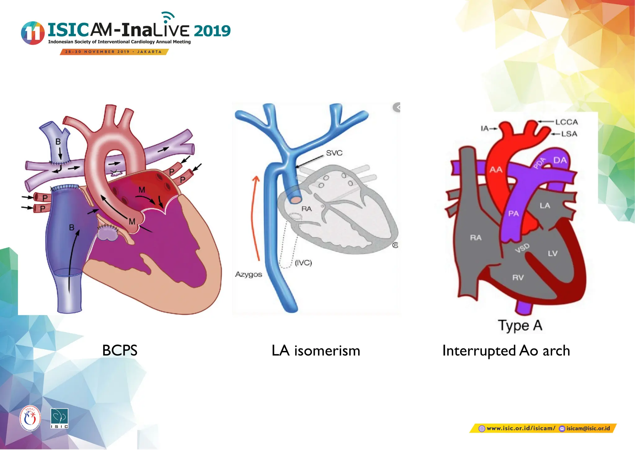LECTURE 10 - PEDIATRIC cardiology CATH LAB.pdf