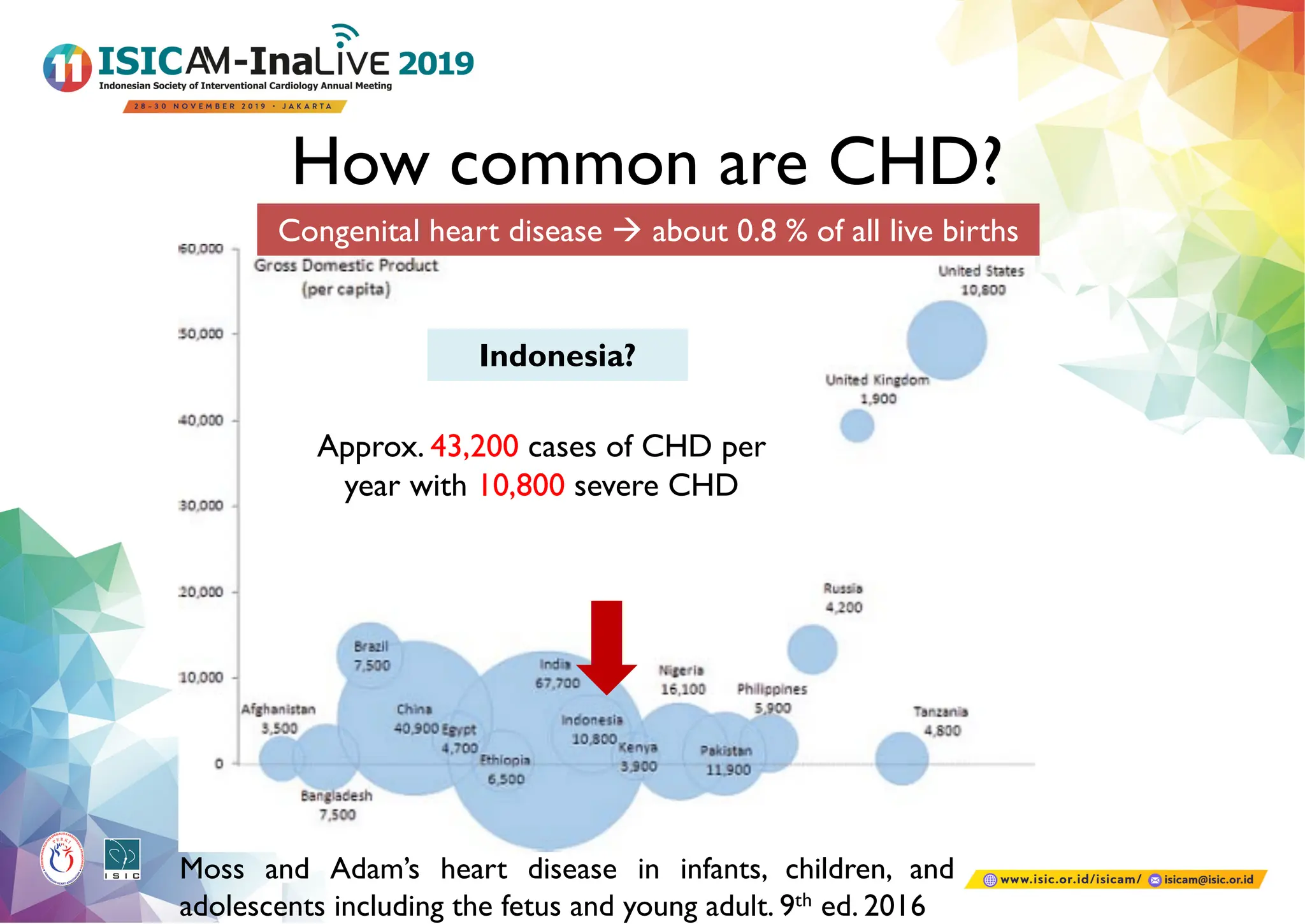 LECTURE 10 - PEDIATRIC cardiology CATH LAB.pdf