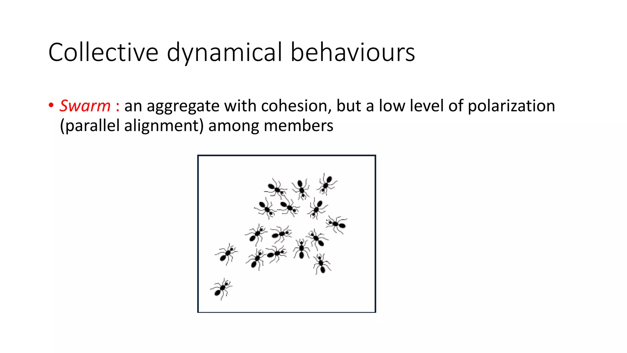 Lecture 10 swarm intelligence | PPT