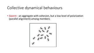 Lecture 10 swarm intelligence | PDF