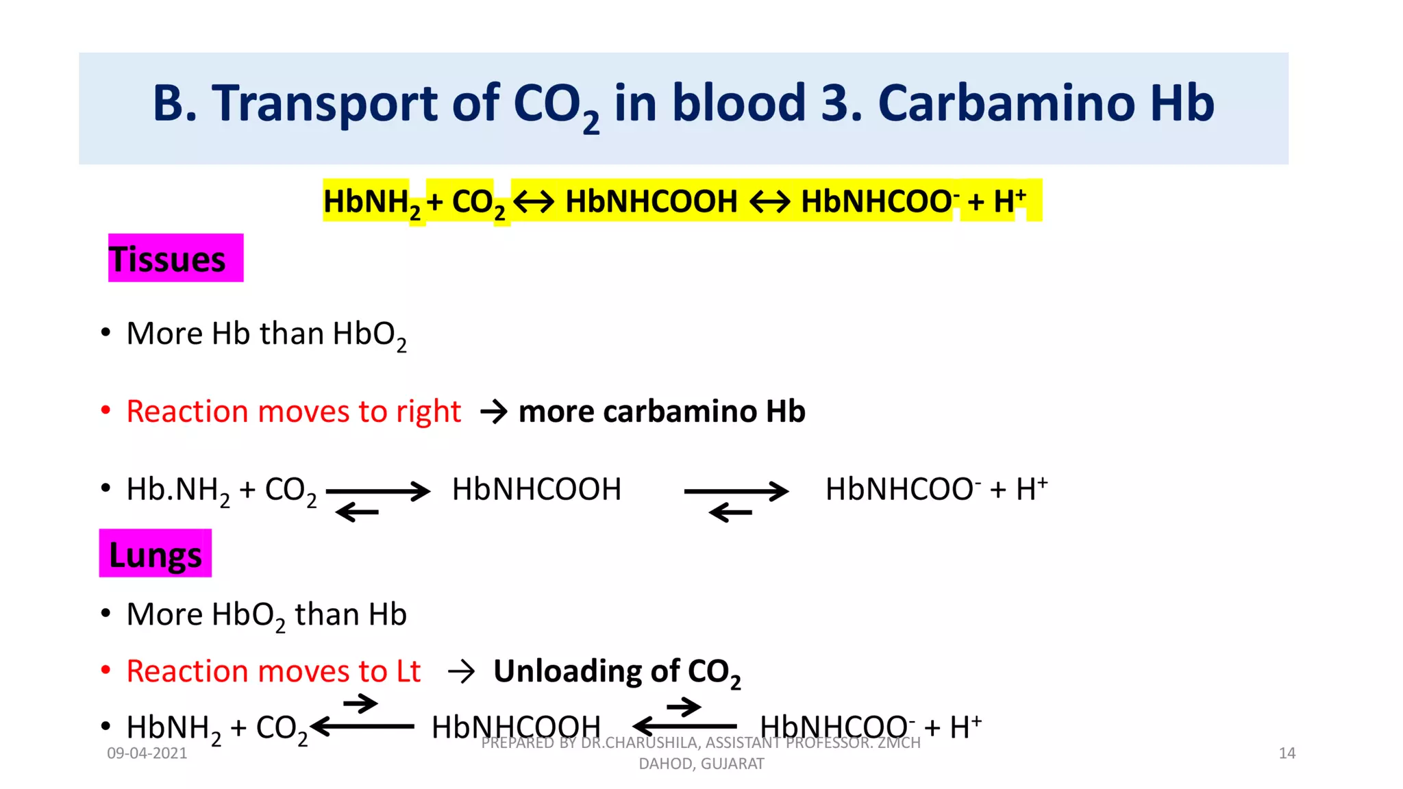 Transport of co2 | PPT