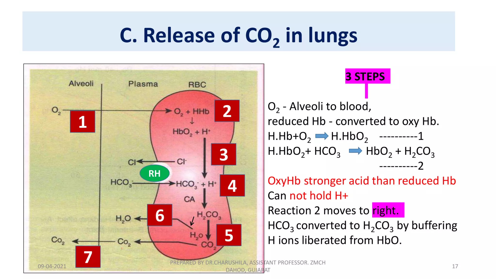 Transport of co2 | PPT