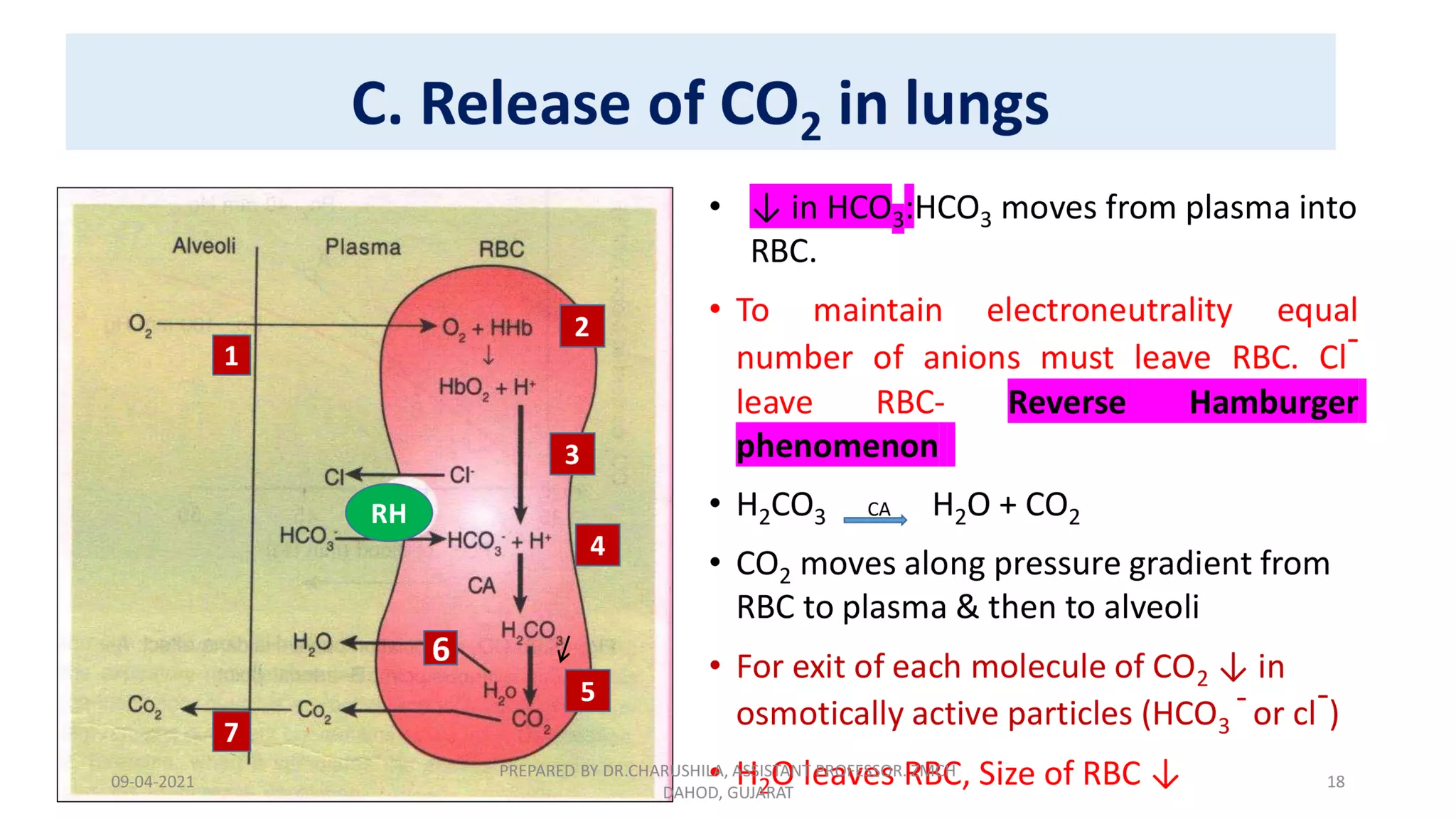 Transport of co2 | PPT