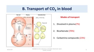 Transport of co2 | PPT