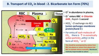 Transport of co2 | PPT