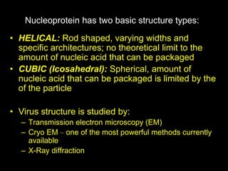 Lecture 10- Viruses.ppt