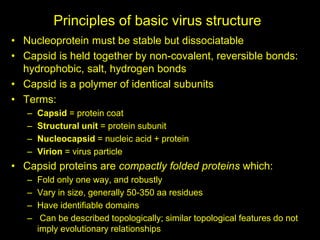 Lecture 10- Viruses.ppt
