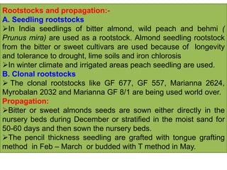 Lecture_10 (1).ppsx