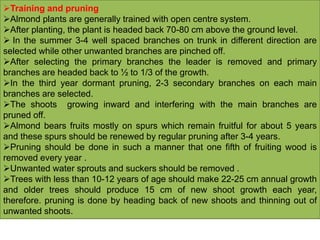 Lecture_10 (1).ppsx