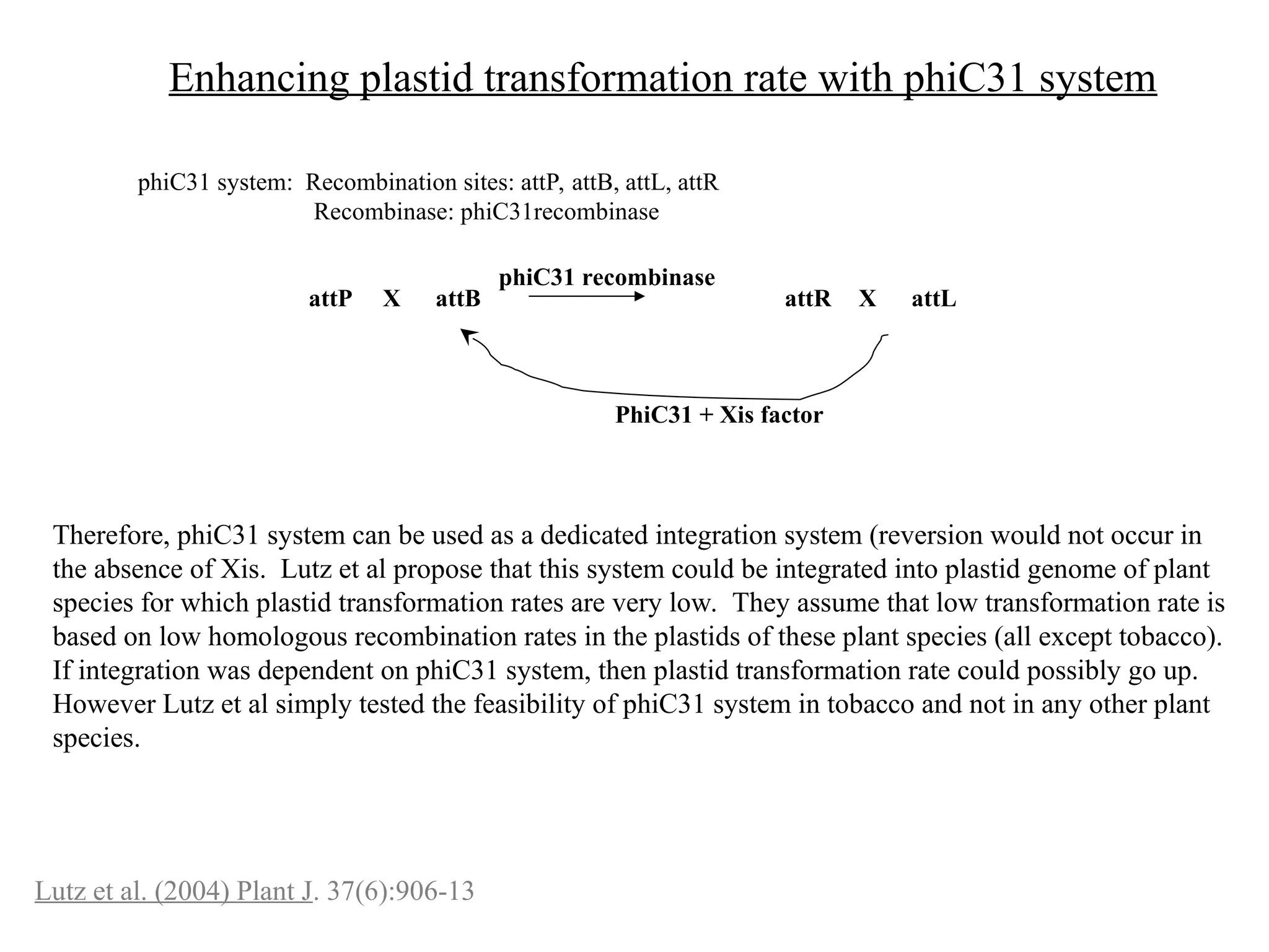 Recombination Based Transformation Technologies Ppt