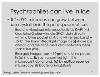 Lecture 10 (3 9-2021) archaea | PDF
