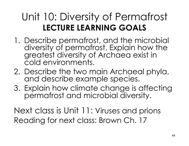 Lecture 10 (3 9-2021) archaea | PPT