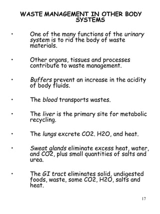 Lecture 10 and 11 urinary system | PPT