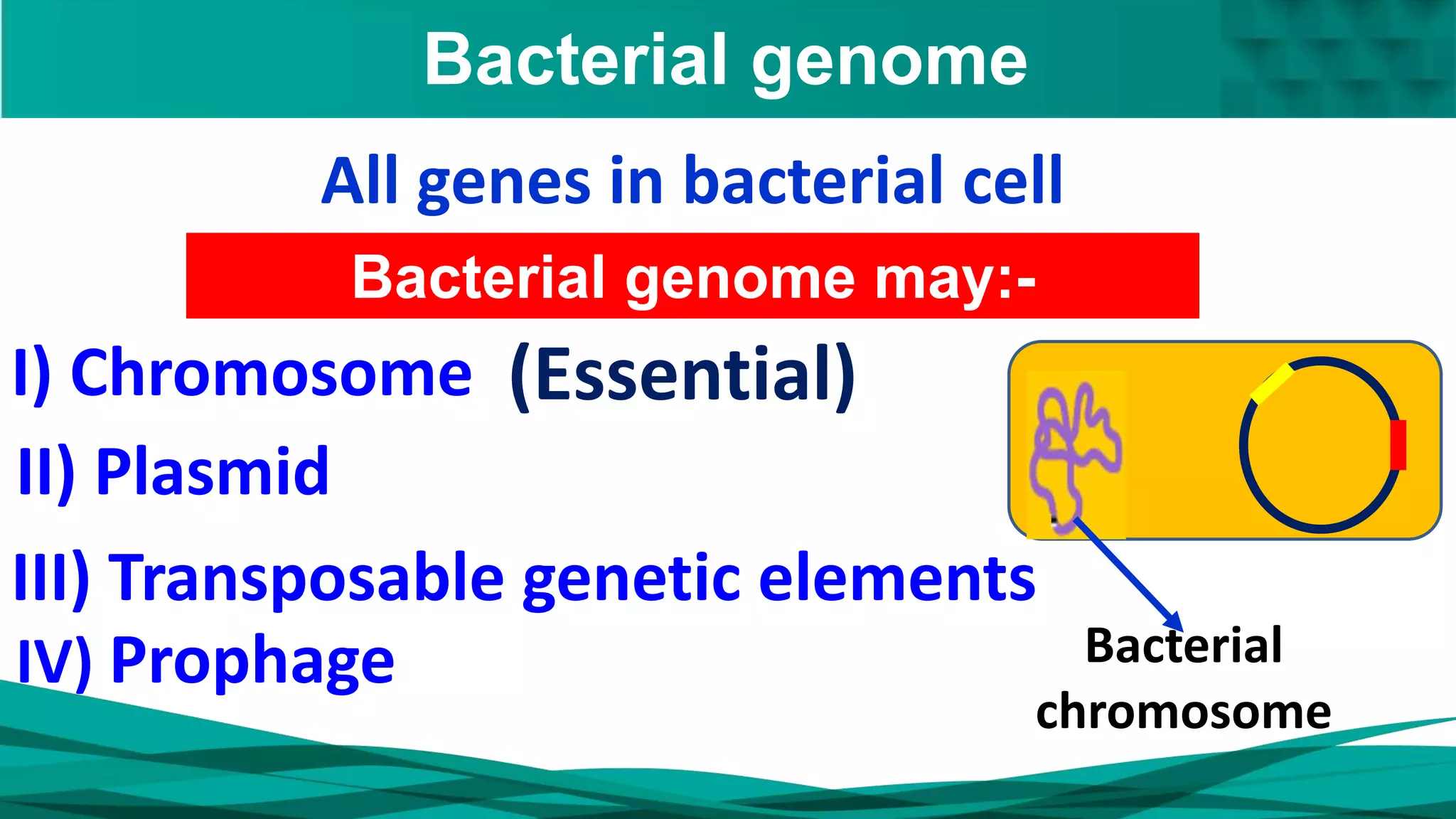Bacterial genetics new.pptx