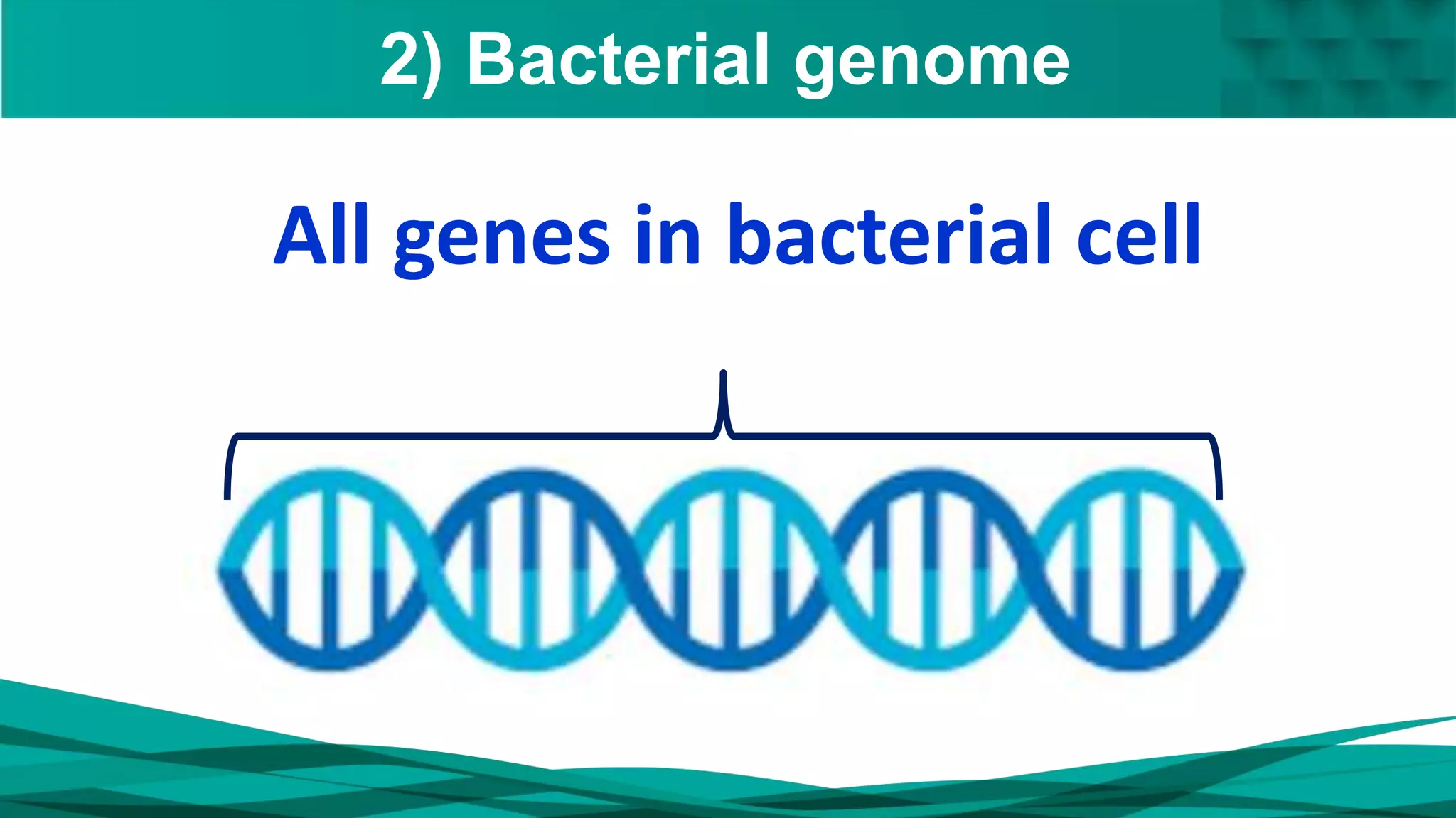 Bacterial genetics new.pptx