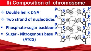 Bacterial genetics new.pptx