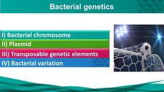 Bacterial genetics new.pptx