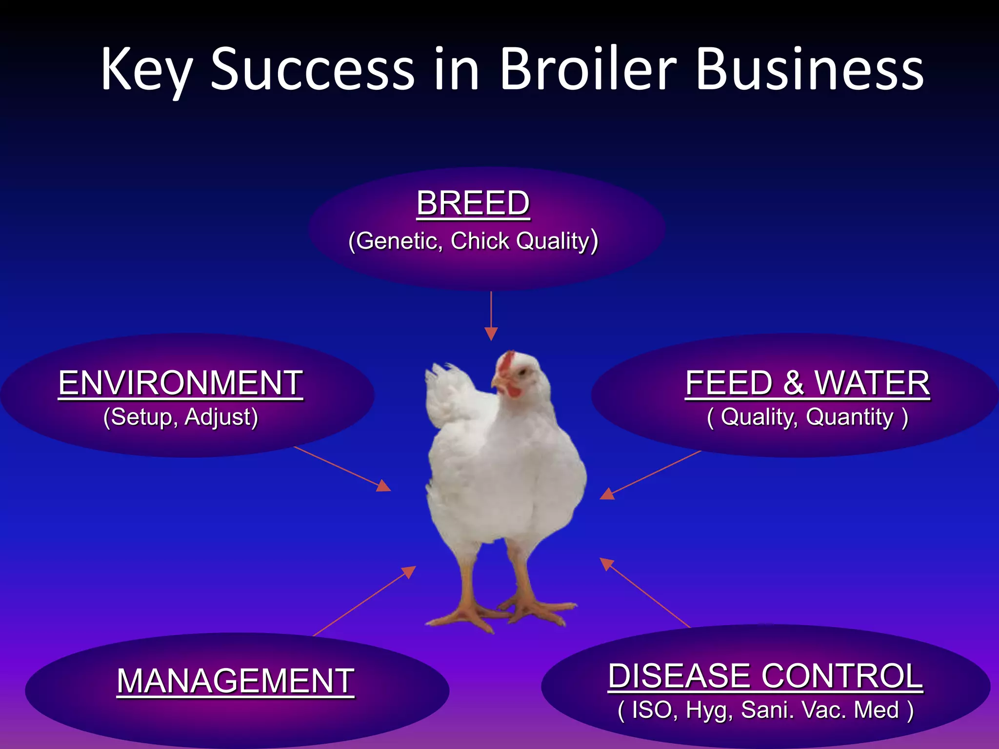 Broiler management.pptx