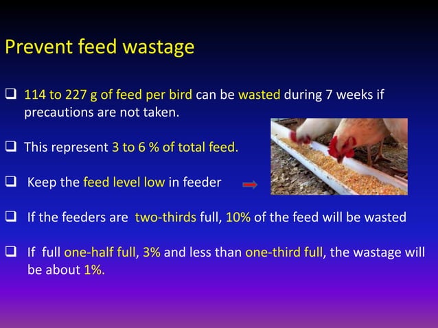 Broiler management.pptx