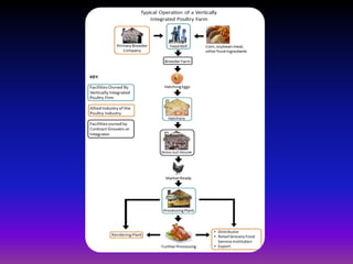 Broiler management.pptx