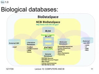 Lecture 10 Computers In Biology | PPT
