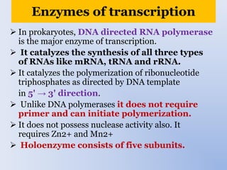 Lecture 10 DNA transcription.pdf CONSICE NOTE EASY | PDF