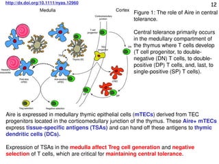 Lecture 10_Immune Tolerance-and-regulation.pptx